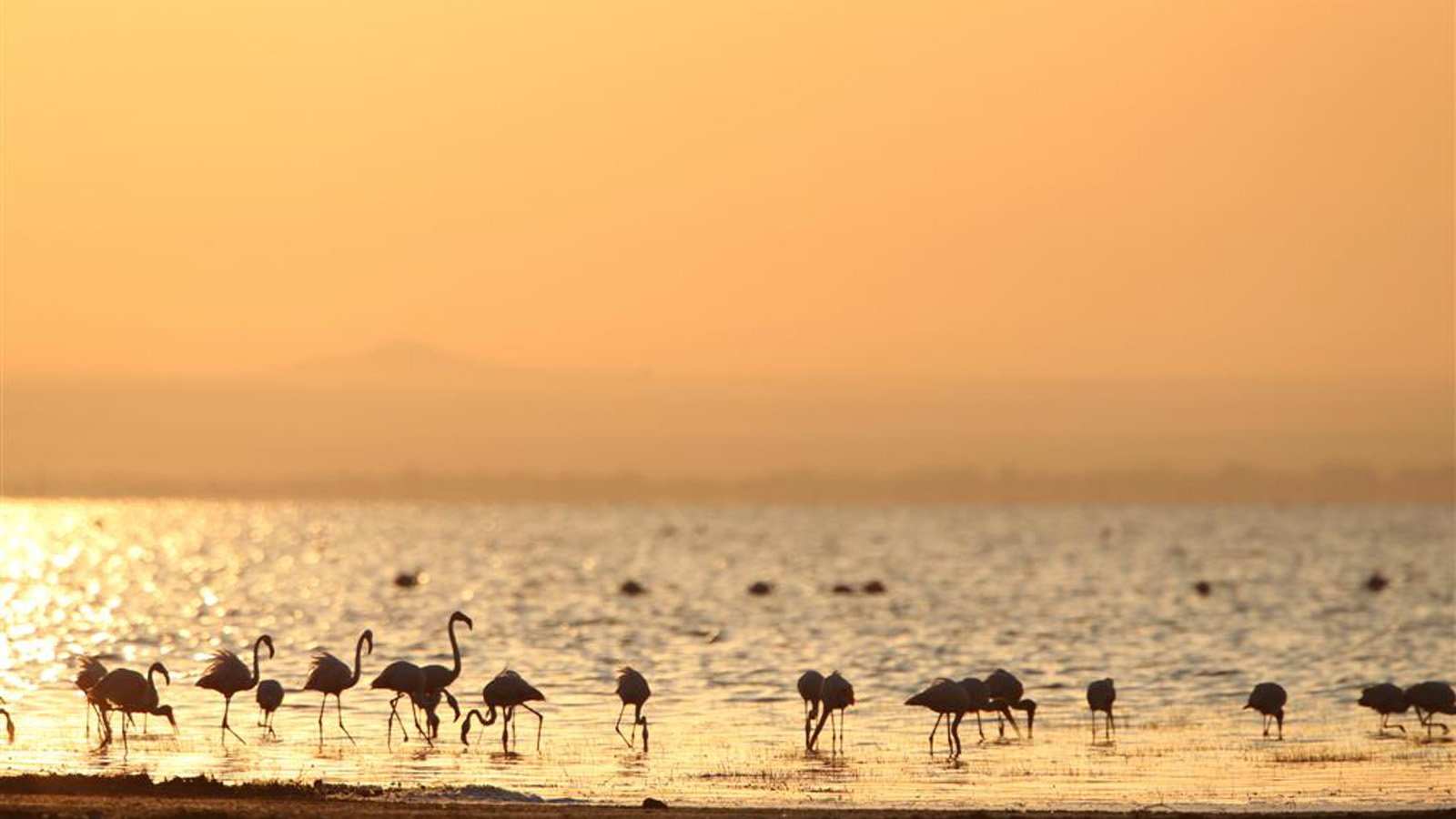 Lake Manyara National Park – RO SCAVENGER SAFARIS